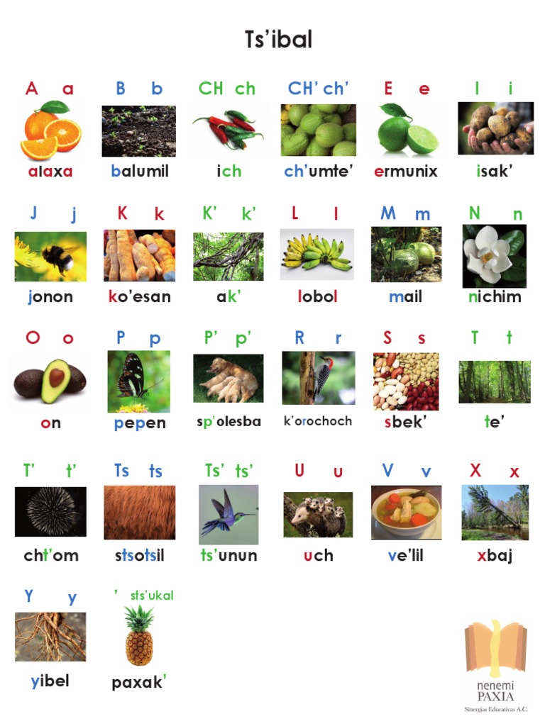Alfabeto Tsotsil | PDF