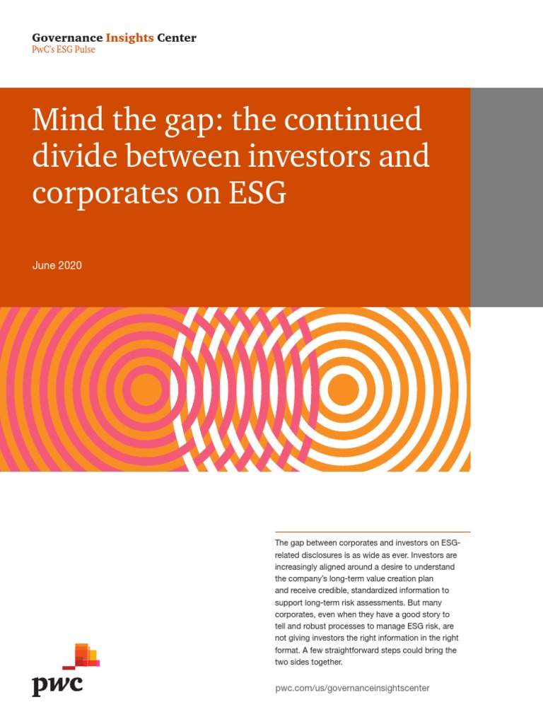 5A. Consultants Professionals PWC Esg Divide Investors Corporates | PDF ...