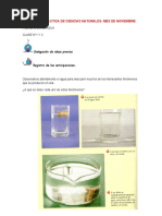 05.experimento ¿Flota o Se Hunde? | PDF | Peso | Masa