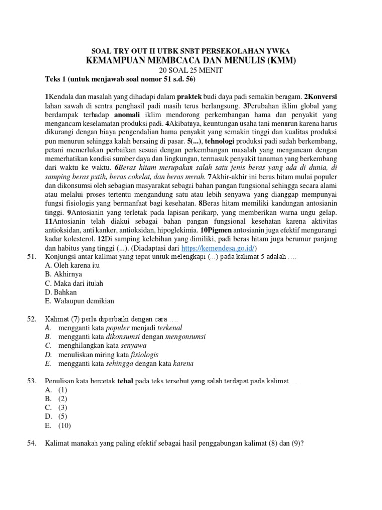 TO 2 Kemampuan Membaca Dan Menulis (KMM) | PDF