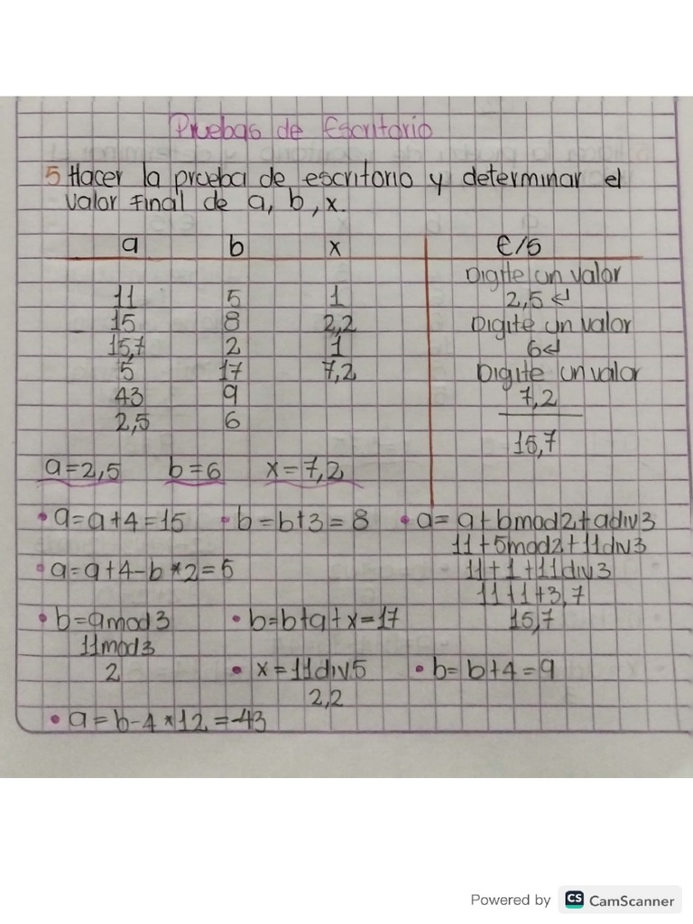 Pruebas de Escritorio | PDF