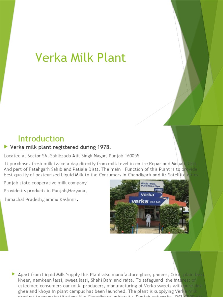 Verka Milk Plant Overview and Operations | PDF | Milk | Dairy Products