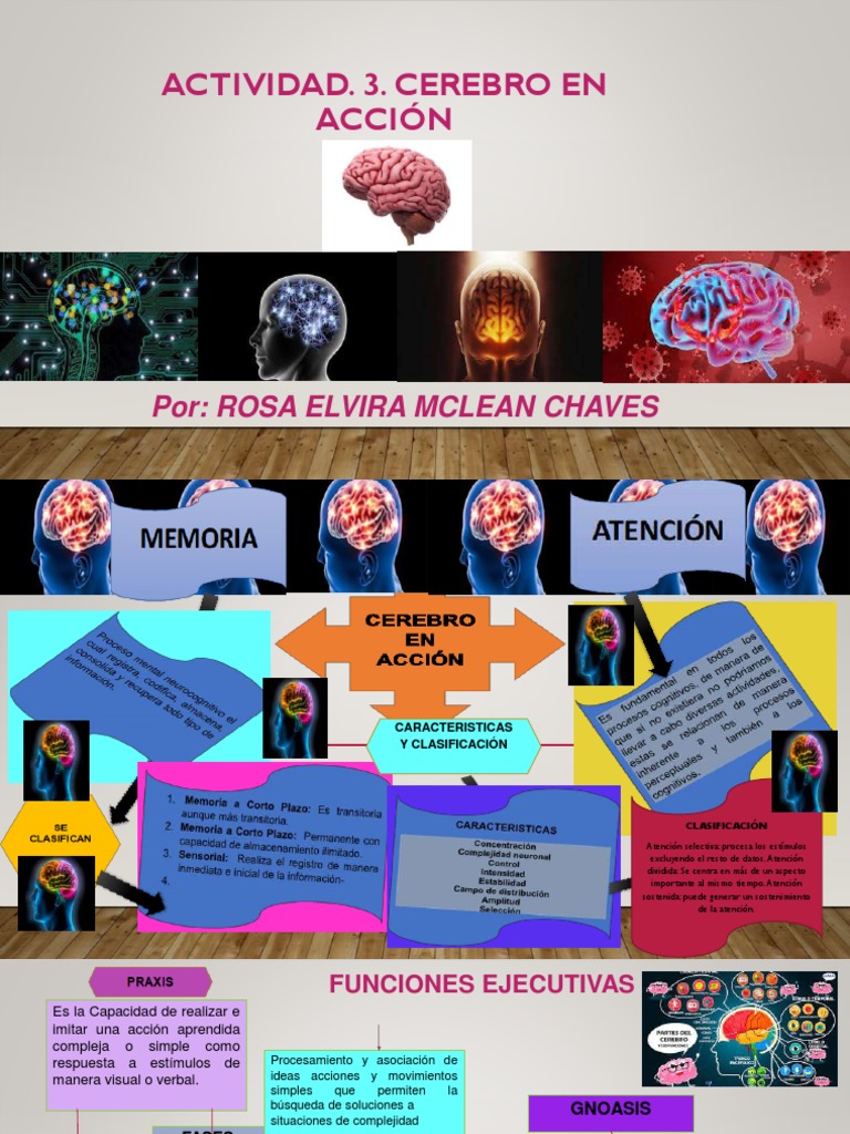 Cerebro en Accion Okkkk1 | PDF