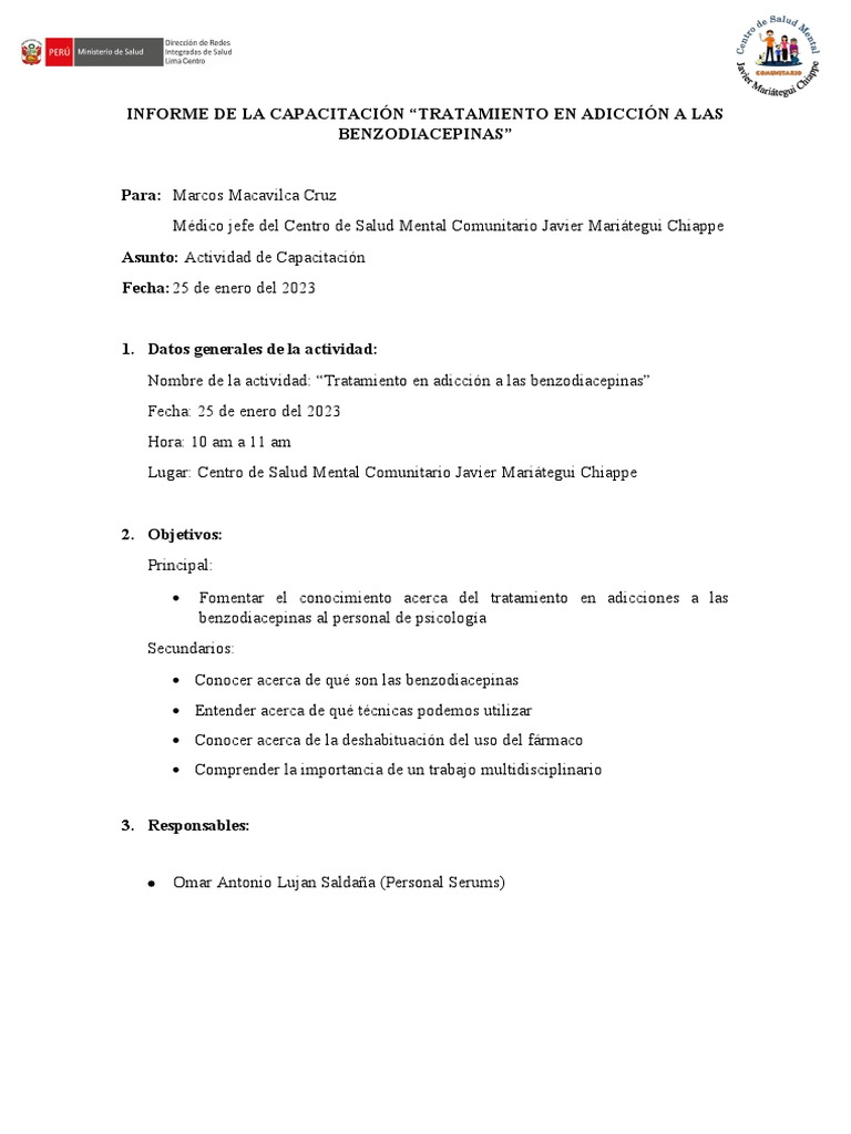 Informe de La Capacitación | PDF