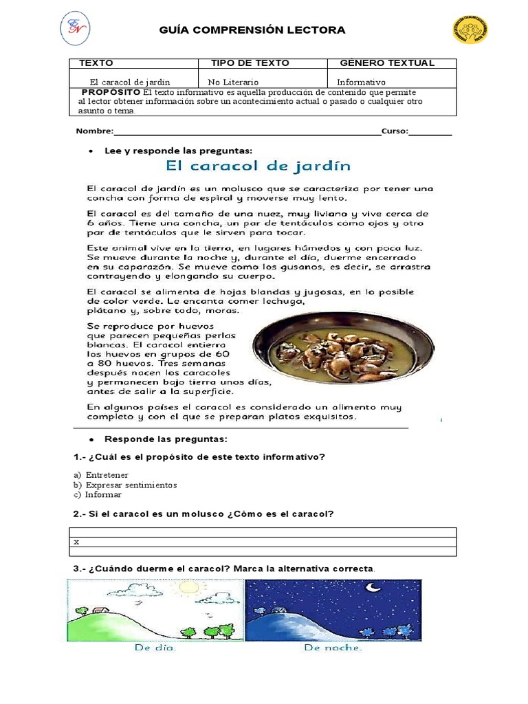 Comprension Lectora de Primero Basico | PDF