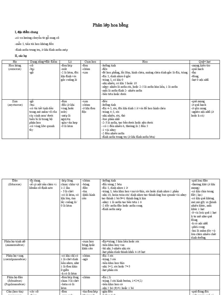 Phân L P Hoa H NG | PDF
