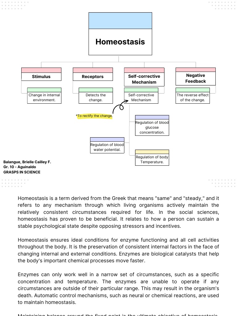 Grasps in Science - Balangue | PDF | Homeostasis | Enzyme