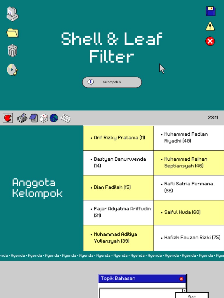 Shell and Leaf Filter | PDF