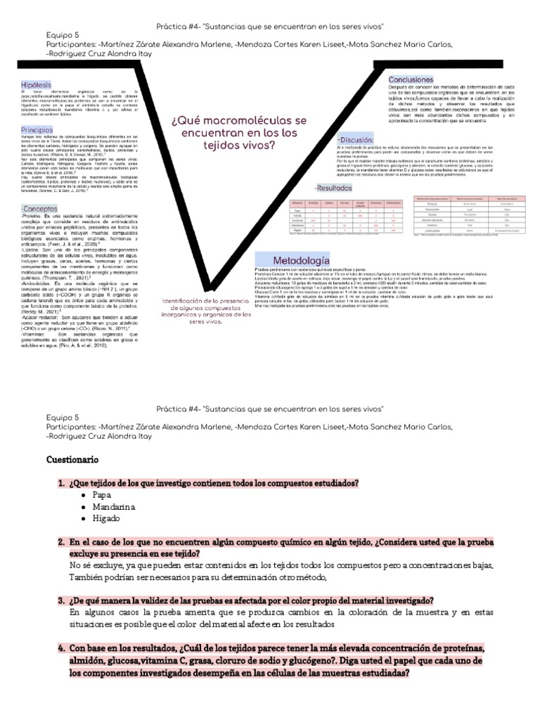 Practica 4 - ¿Que Macromoleculas Se Encuentran en Los Tejidos Vivos? | PDF