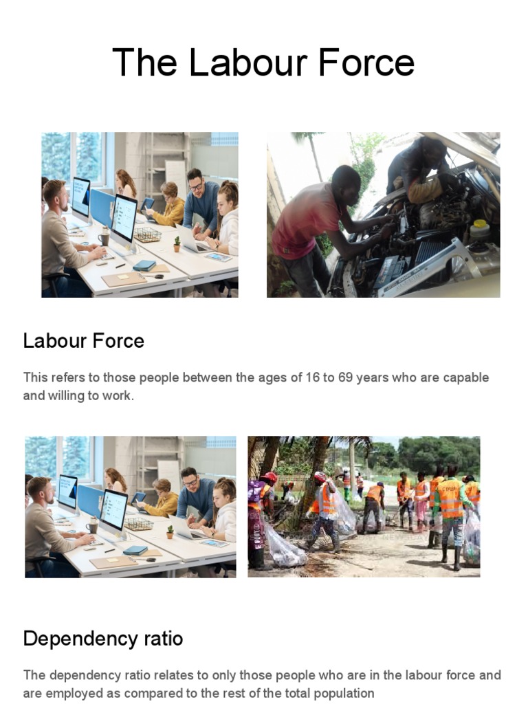 The Labour Force | PDF | Unemployment | Employment