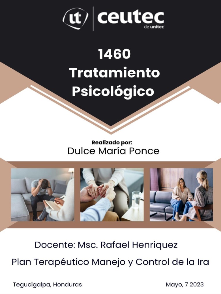 Plan Terapéutico Manejo y Control de Ira | PDF | Las emociones | Ira