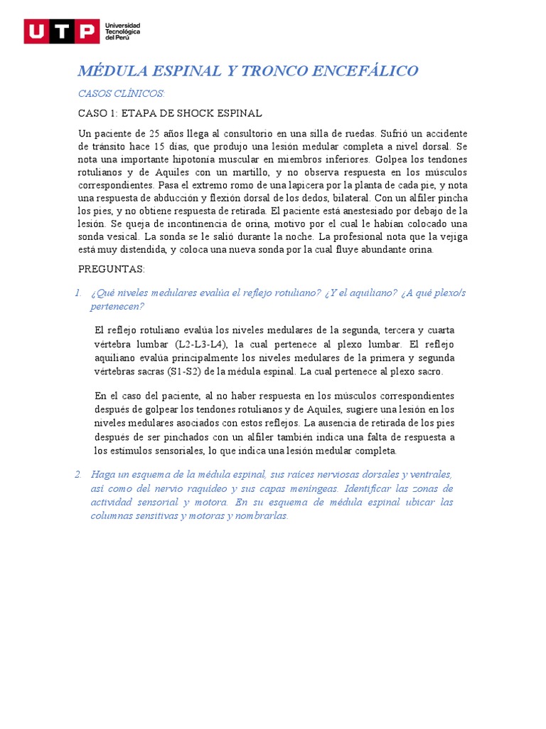 Médula Espinal y Tronco Encefálico | PDF | Médula espinal | Micción