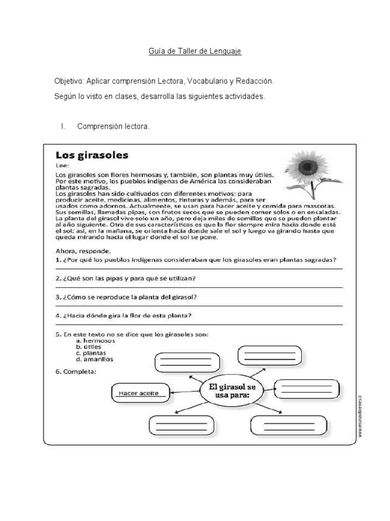 Control Los Girasoles | PDF