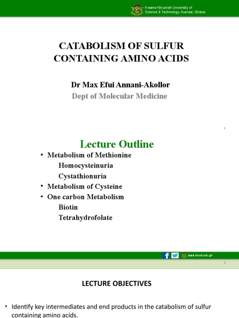 4 Catabolism of Sulfur Containing Amino Acids | PDF | Methionine ...