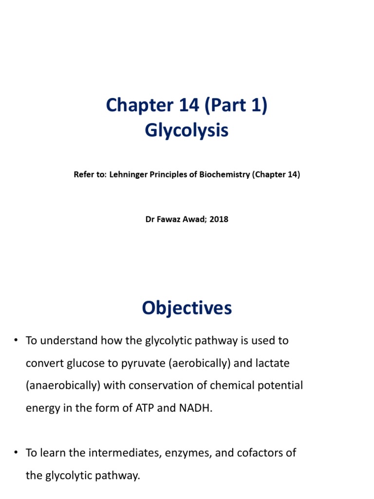Glycolysis Ch.14 | PDF | Glycolysis | Adenosine Triphosphate
