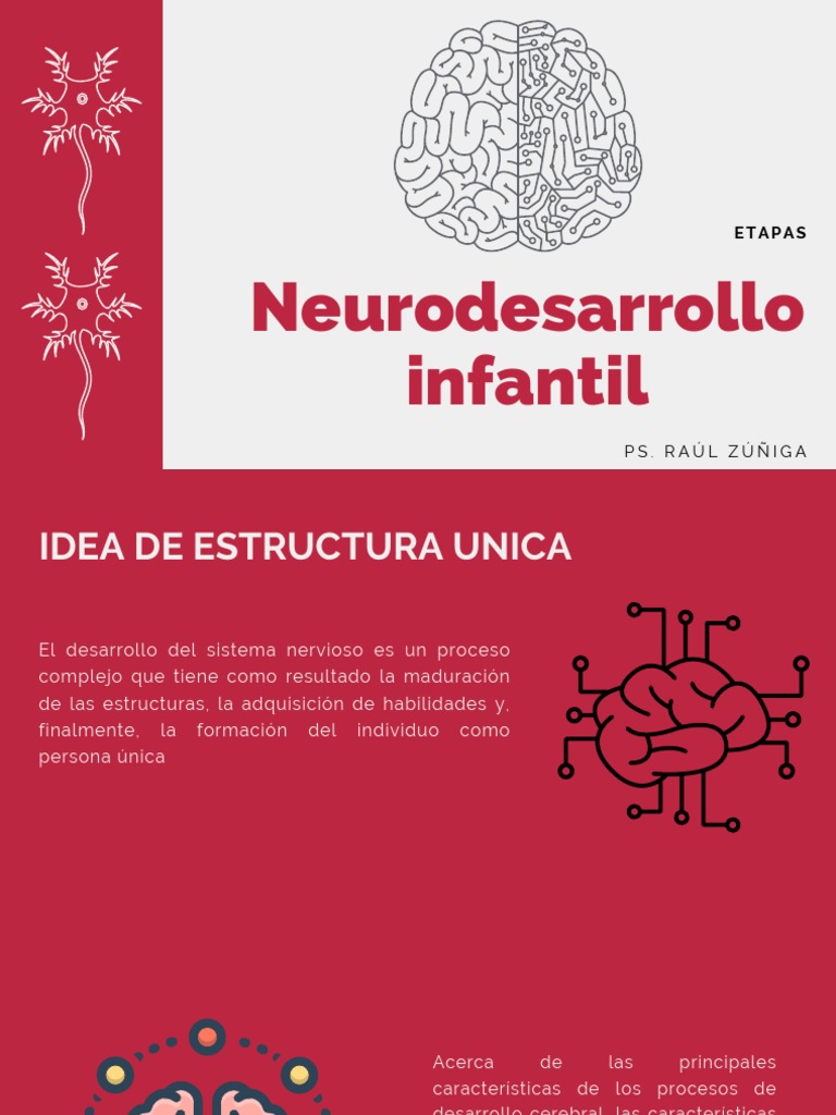 3 - Neurodesarrollo Infantil | PDF