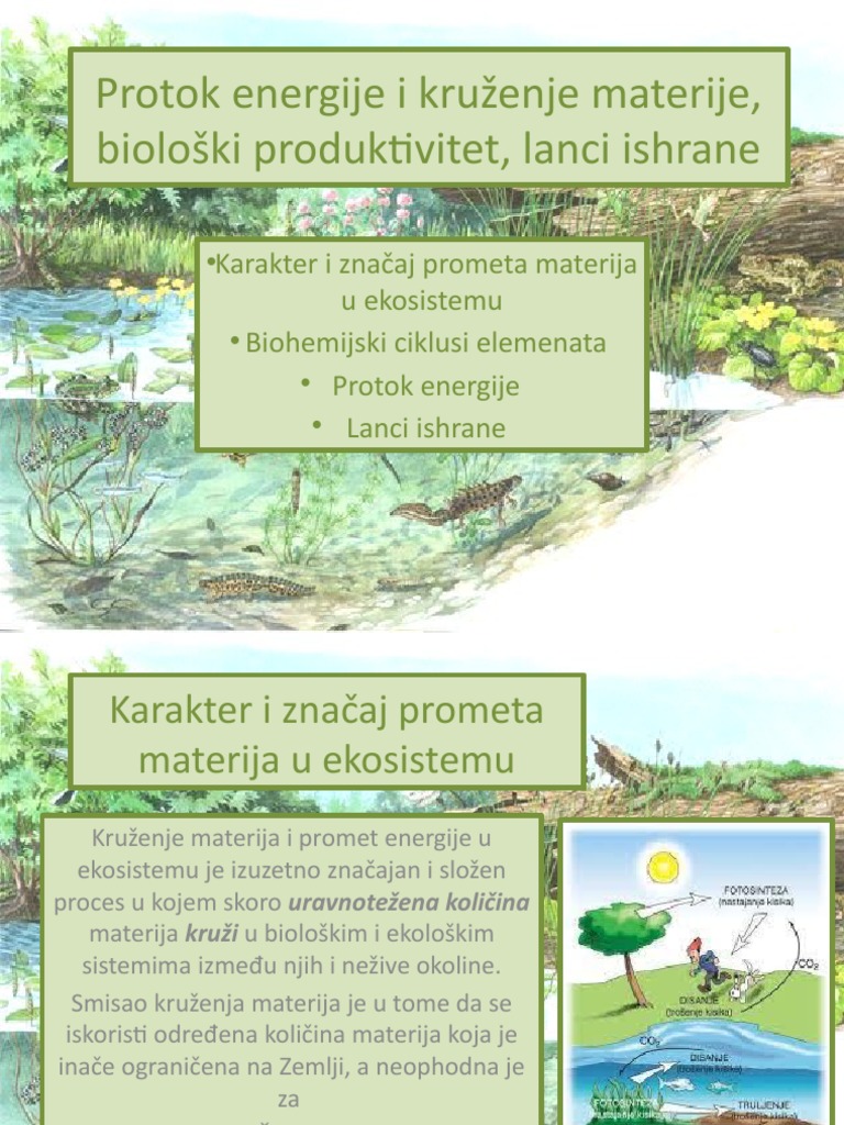 Protok Energije I Kruženje Materije, Biološki Produktivitet | PDF