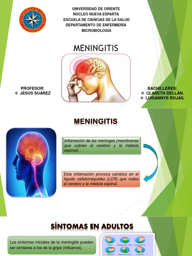 Meningitis: Causas, Síntomas y Tratamiento | PDF | Meningitis ...