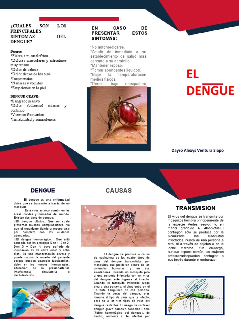 Triptico Dengue | PDF | Medicina CLINICA | Enfermedades y trastornos Triptico Dengue | PDF | Medicina CLINICA | Enfermedades y trastornos