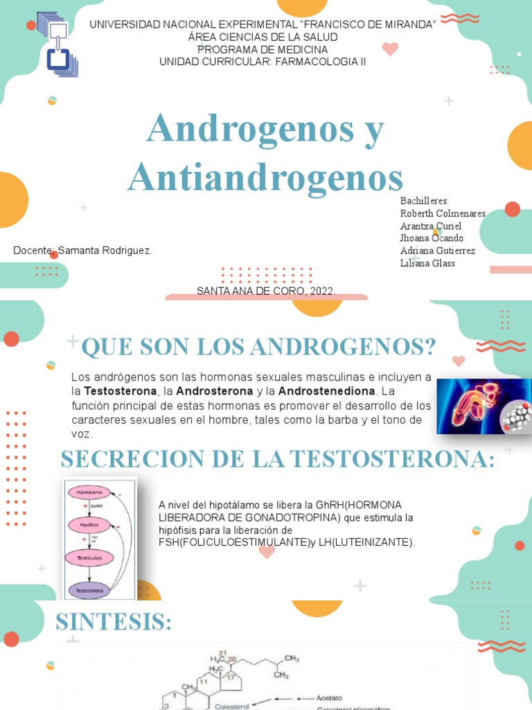 ANDROGENOS Y ANTIANDROGENOS. PROF SAMANTHA def | PDF | Testosterona ...