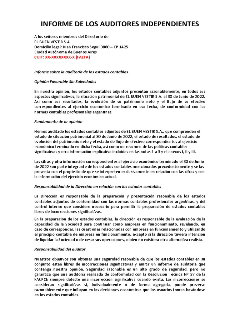 INFORME AUDITOR | PDF