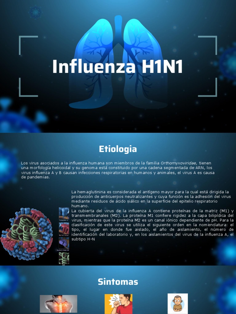 Expo Influensa H1N1 | PDF | Virus de la Influenza A Subtipo H1 N1 ...