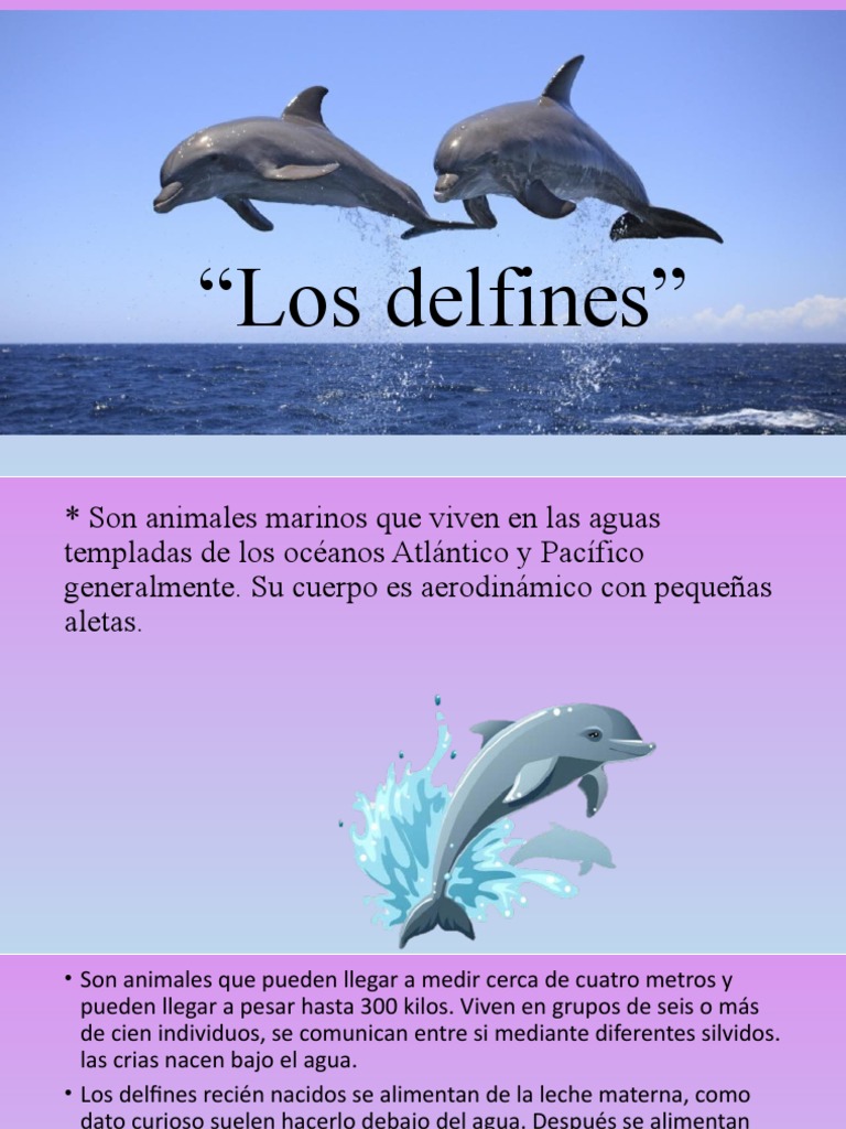 Expocicionlos Delfines | PDF | Mamíferos | Organismos