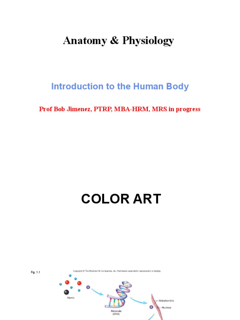 Anatomy Chapter 1 Introduction To The Human Body | PDF Anatomy Chapter 1 Introduction To The Human Body | PDF