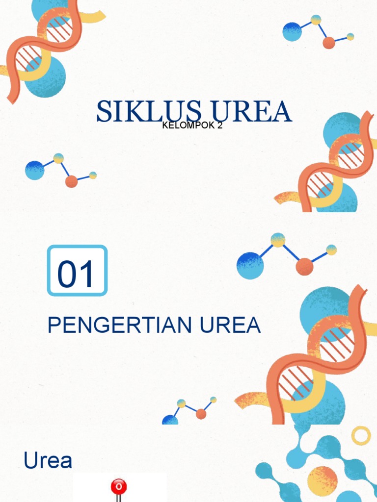 Kel 2 - Siklus Urea | PDF