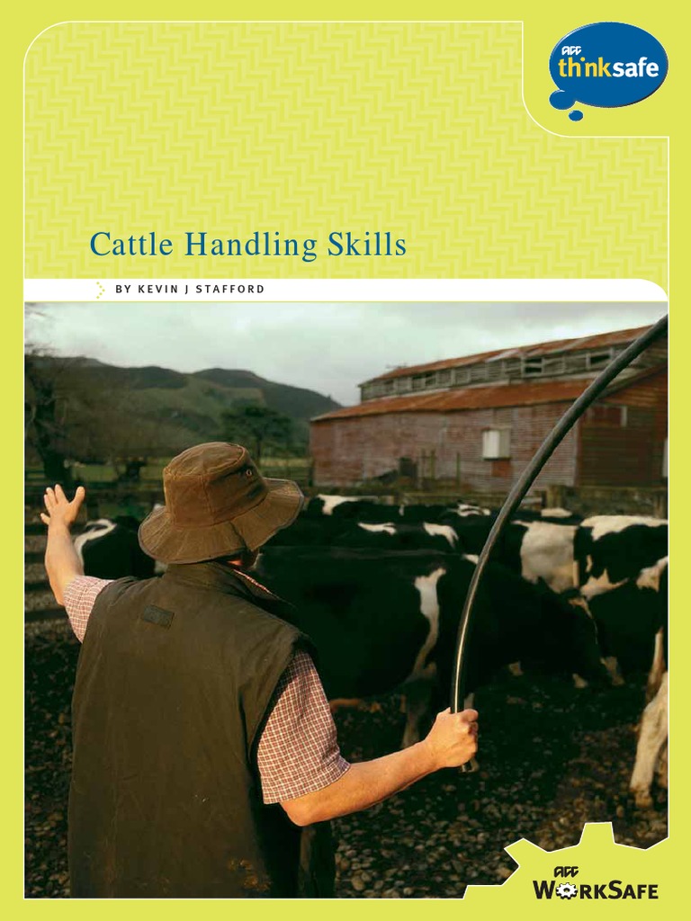 Cattle Handling Skills | Download Free PDF | Cattle | Dairy Cattle