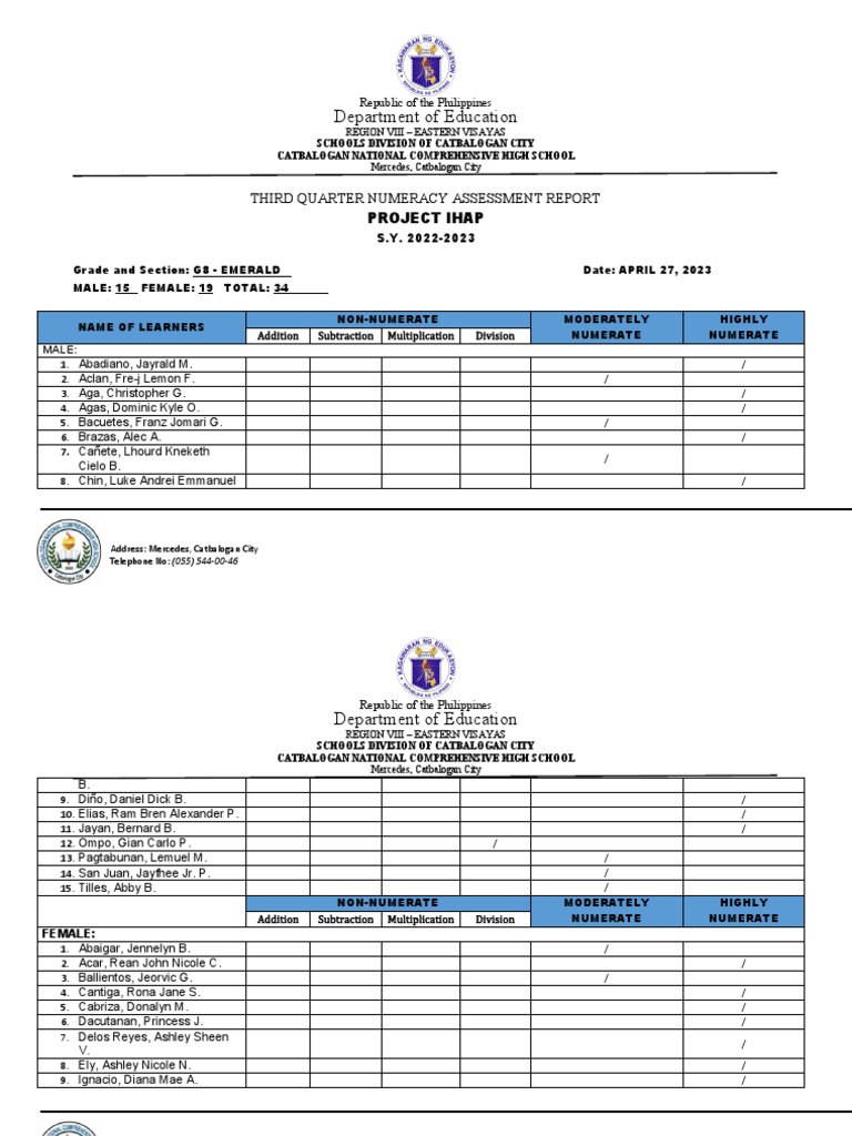 New Template Numeracy Assessment Revised Report Template | PDF