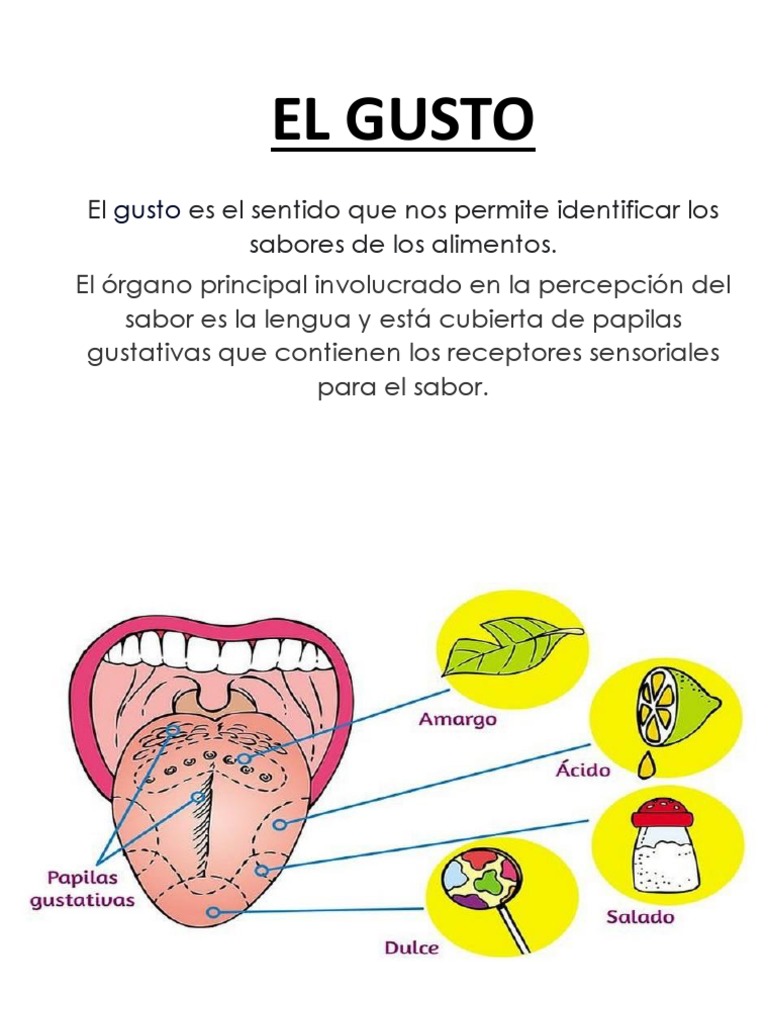 El Gusto | PDF | Artes del Lenguaje y Comunicación | Estudios de ...