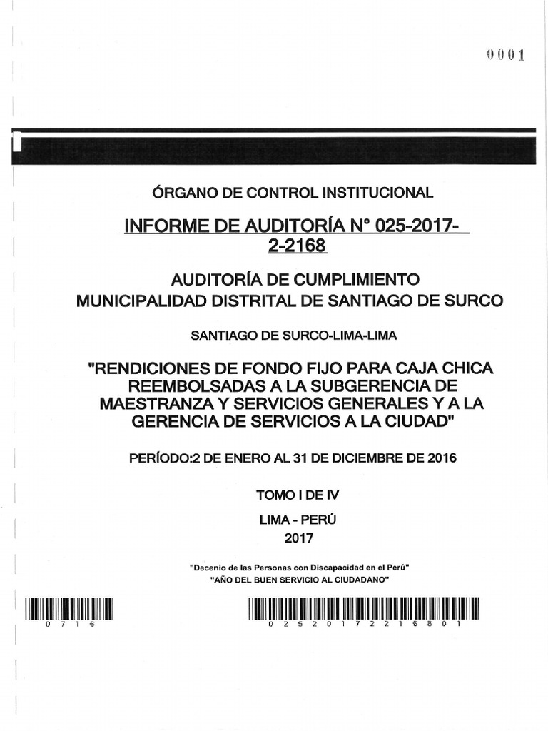 Inf Control Cajas Chicas Mss | PDF