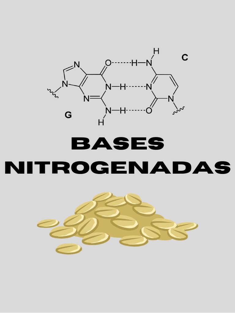Álbum Macromoléculas Orgánicas - Bases Nitrogenadas | PDF