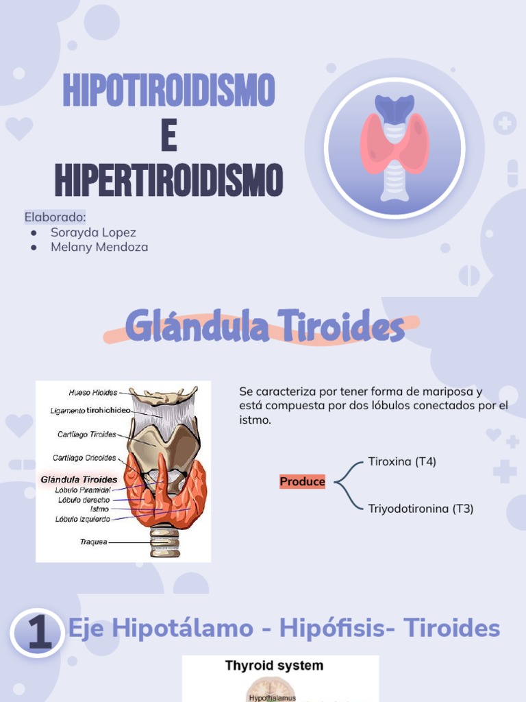 Hipo e Hipertiroidismo | PDF | Hipotiroidismo | Hipertiroidismo