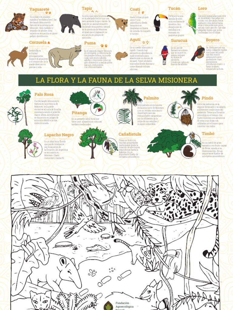 La Flor y La Fauna de La Selva Misionera - Fundacion Agroecologica ...