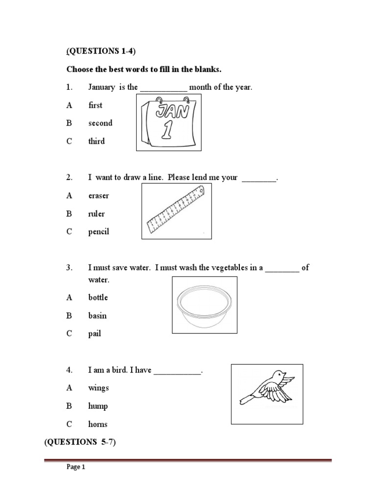 English Year 2 Paper 1 | PDF | Turtle
