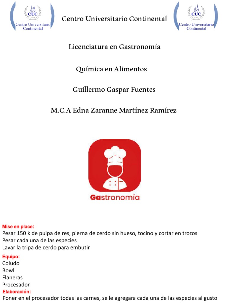 Reporte # 10 GGF | PDF