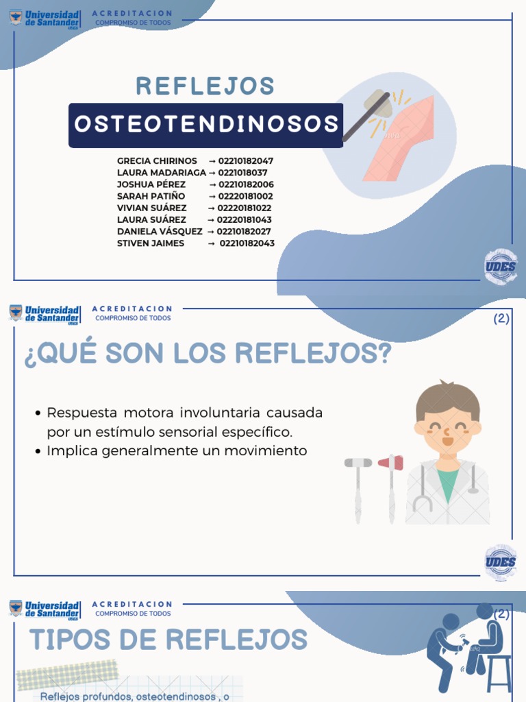 Reflejos OSTEOTENDINOSOS | PDF