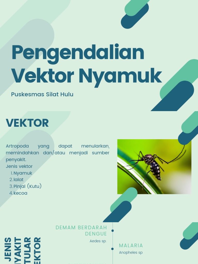 Pengendalian Vektor Nyamuk (1) | PDF
