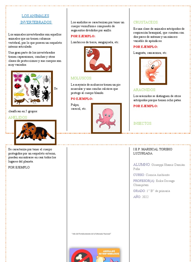 Triptico 3 | PDF | Esqueleto | Invertebrado