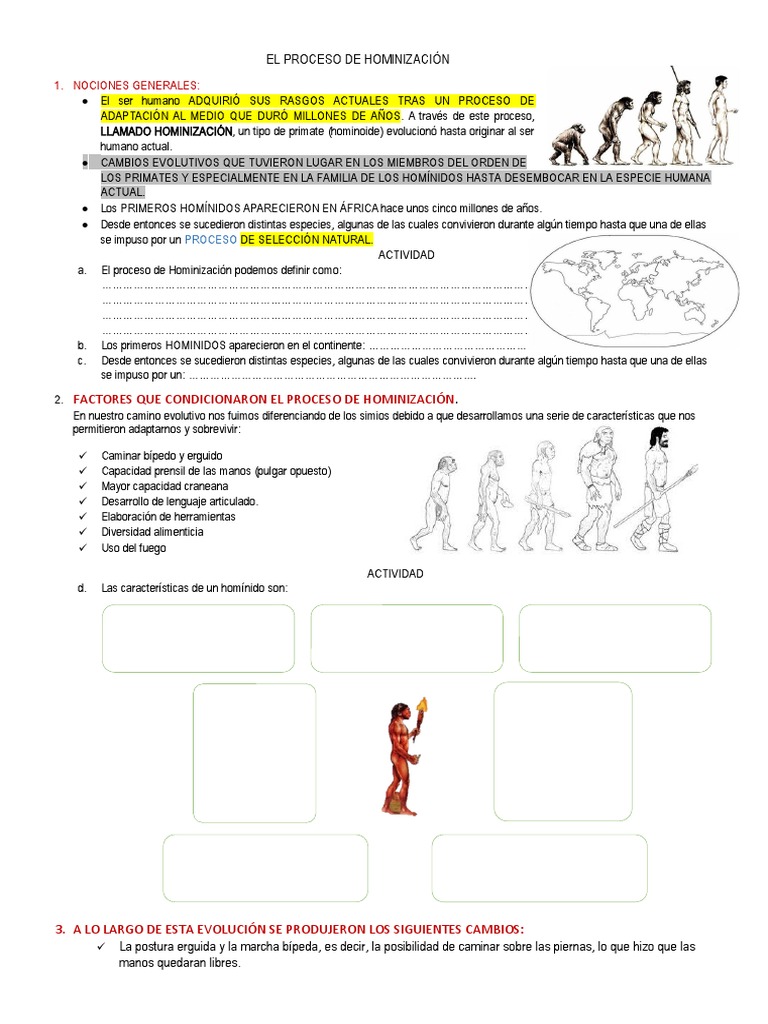 Proceso de Hominización y Evolución Humana | PDF | neanderthal | Homo