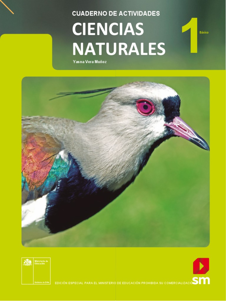 Cuaderno de Actividades de Ciencias Naturales | PDF | Luna
