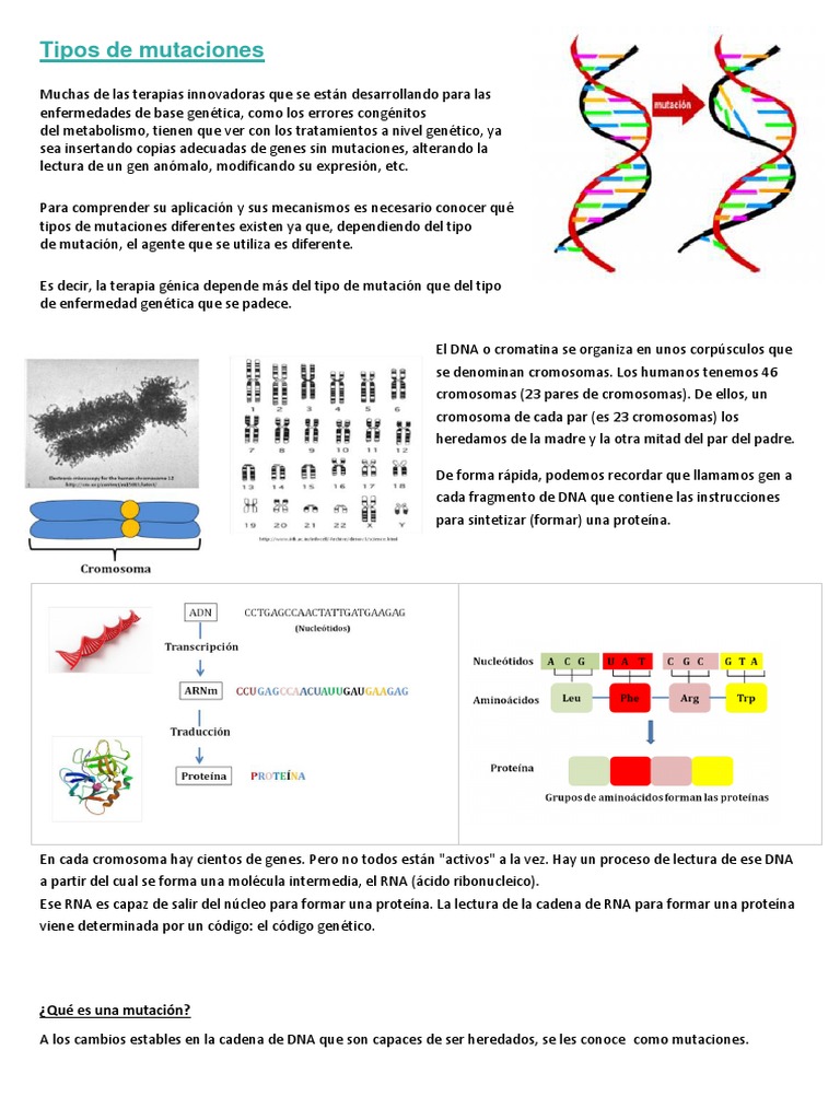 Tipos y ejemplos de mutaciones genéticas | PDF | Mutación | Gene