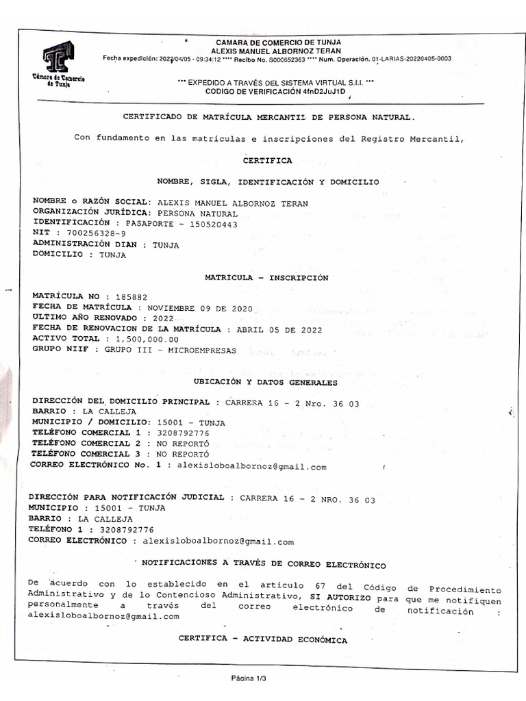Formato de Inscripcion y Registro de Ica | PDF