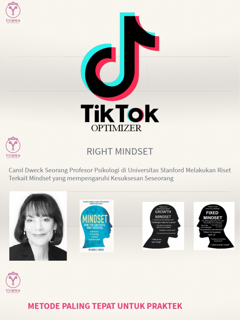 Tiktok Optimizer | PDF