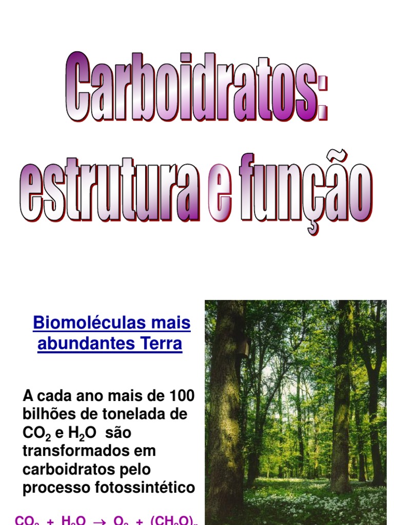 Aula 8 Mono - Dissacarideos | PDF | Carboidratos | Sacarose