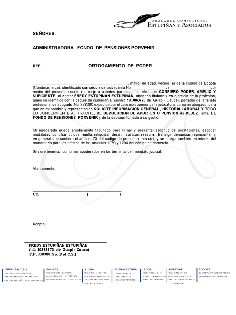 Poder Porvenir | PDF