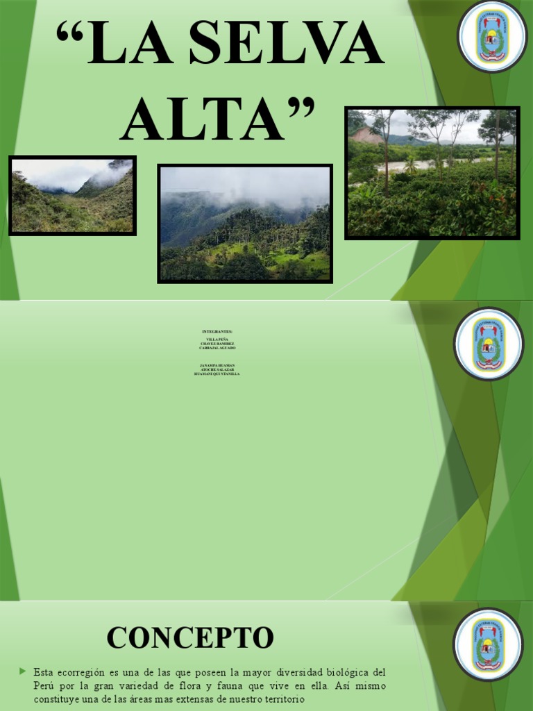 La Selva Alta - Expo Ccss | PDF | Selva | Ciencias de la Tierra