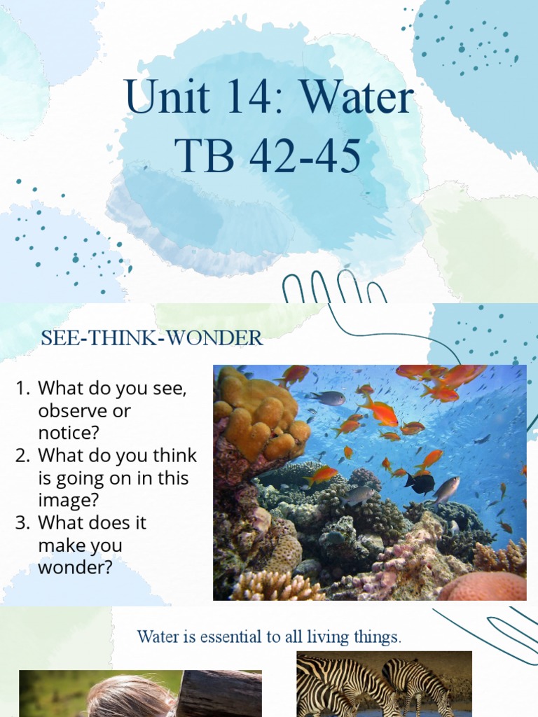 Water | PDF